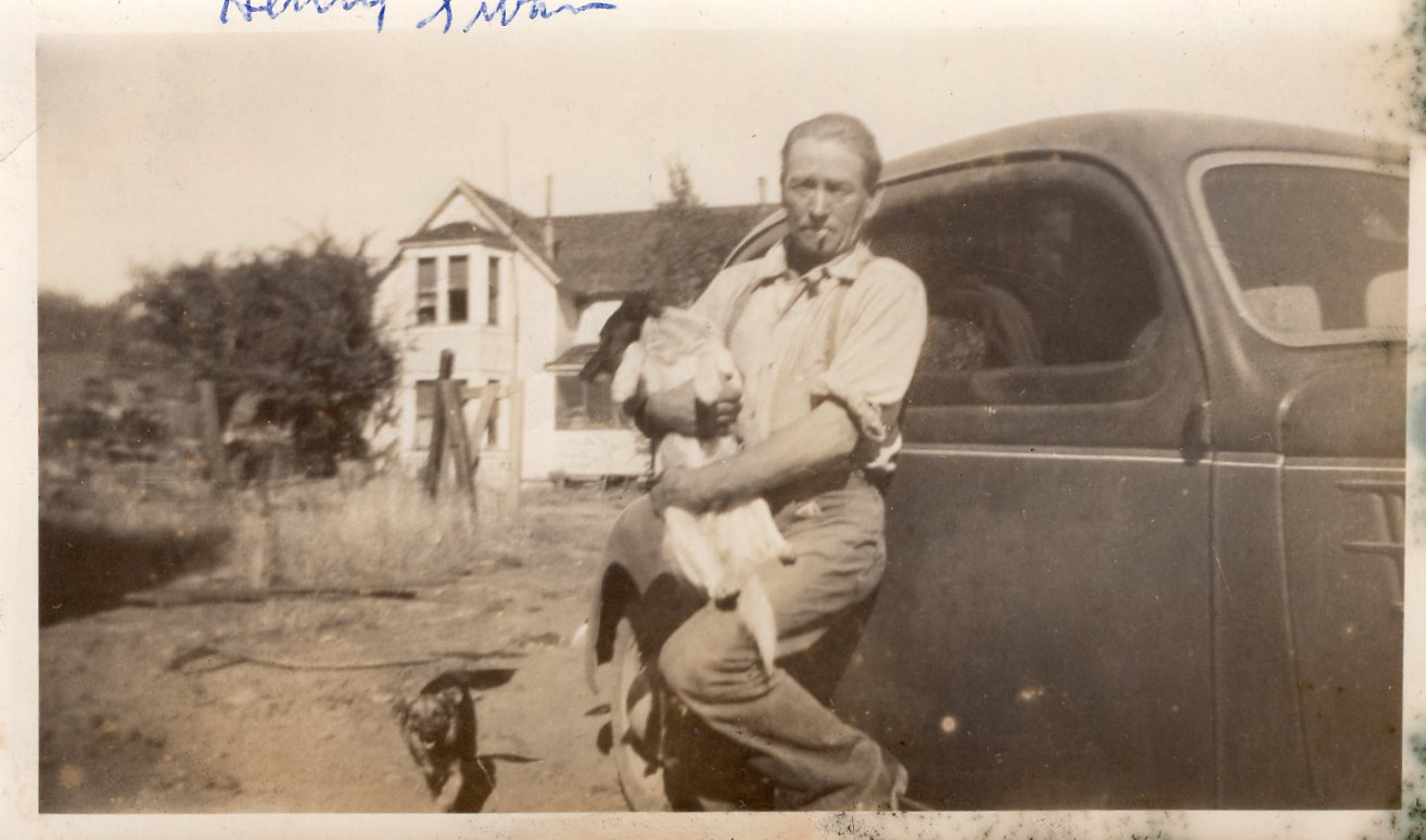 Henry Swan(Alice Van Horn’s Brother) | AncestorLife